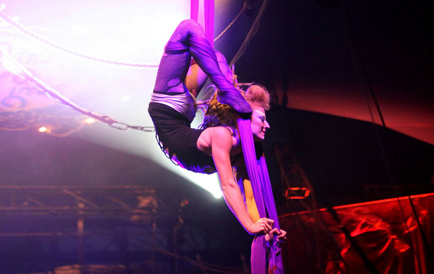 PROFESSIONAL CIRCUS PERFORMANCE AGENCY – AirCraft Circus Performance